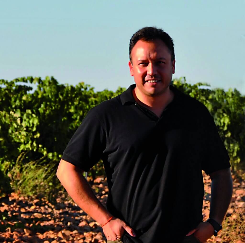 Do Old Vines Make Better Wine? Ask The Expert! • Reverse Wine Snob