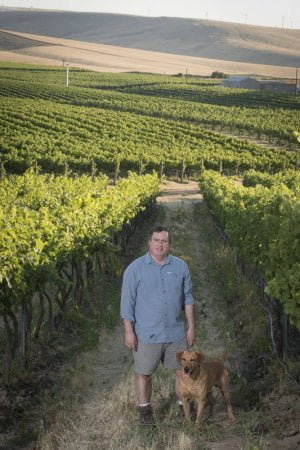 What Makes Washington Wine Special? Ask The Expert!