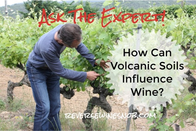How Do Volcanic Soils Influence Wine? Ask The Expert!
