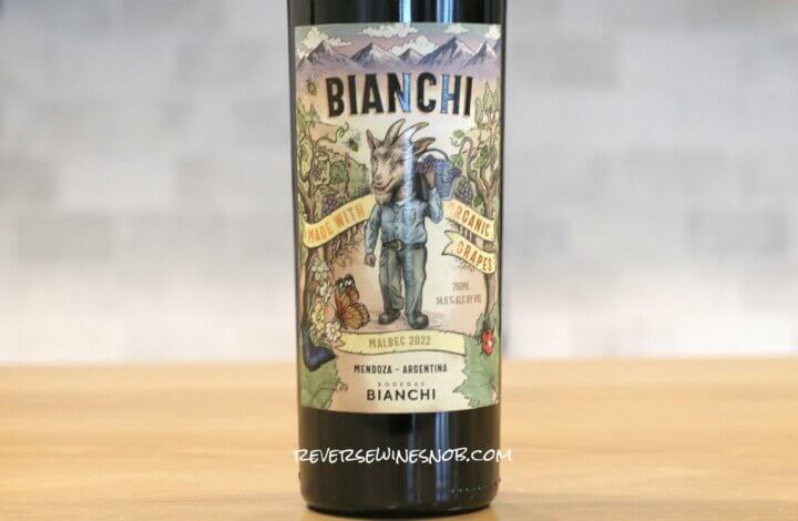 Organic Wine! The 2025 Guide To The Best Organic Wines